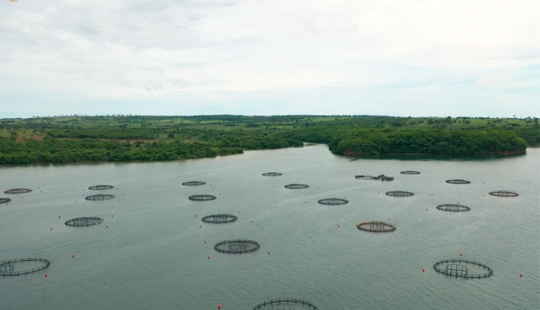 Tilabras | Ocean 14 Capital Limited | Transforming the blue economy